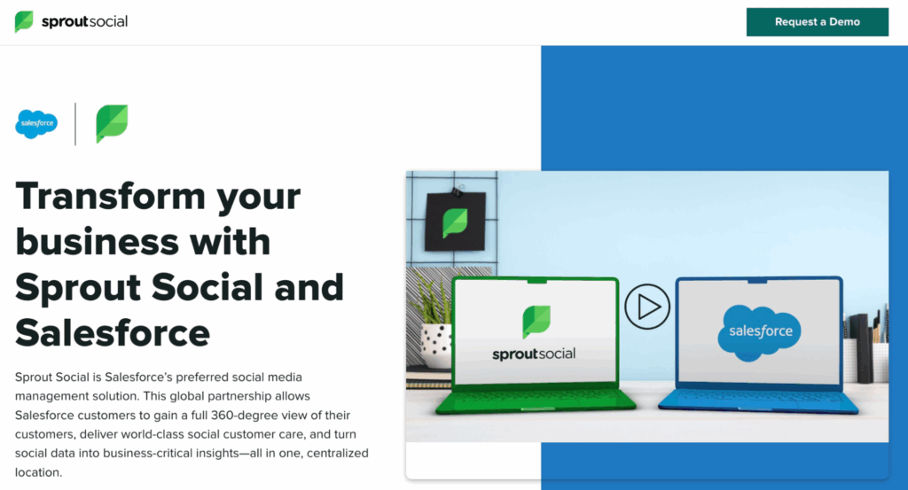 Brand partnership strategy: Brand partnerships types and activities